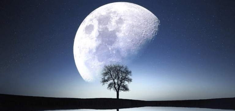 Qué hacer en luna menguante: rituales y actividades para crecer en tu ...